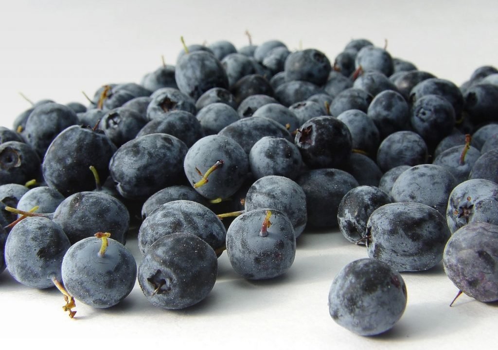 Qué es el Acai Berry y para qué sirve: Todas sus propiedades ...