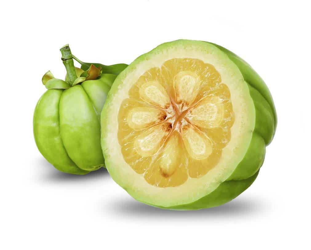 Garcinia Cambogia: Para que sirve, propiedades, beneficios ...