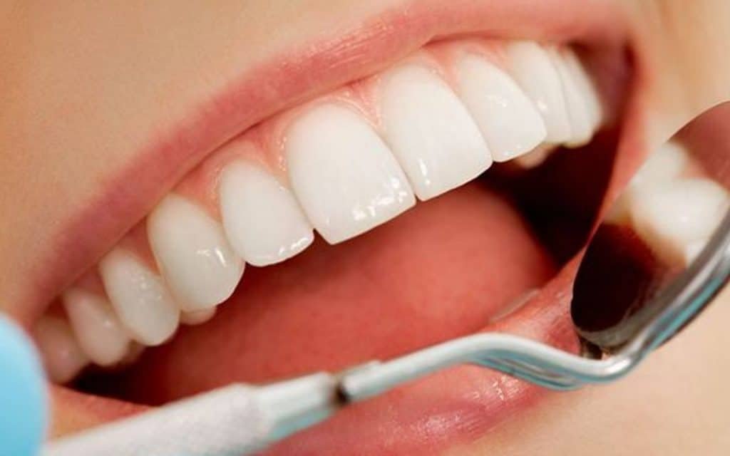 Stevia: Para que sirve, propiedades, beneficios, contraindicaciones y más