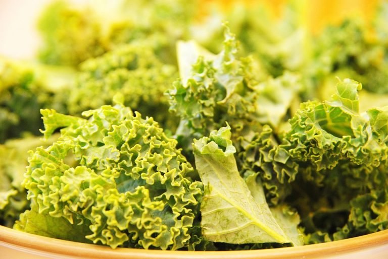 Kale: Para que sirve, propiedades, beneficios, contraindicaciones y más