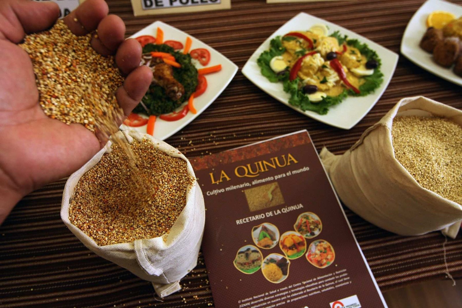Quinoa: Para que sirve, propiedades, beneficios, contraindicaciones y más